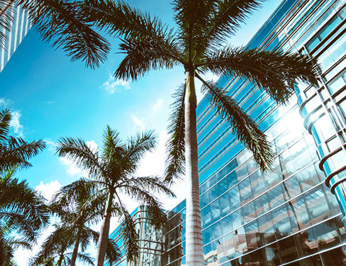 Silver Mirror Skincare | Spa-grade Skincare & Facial Products